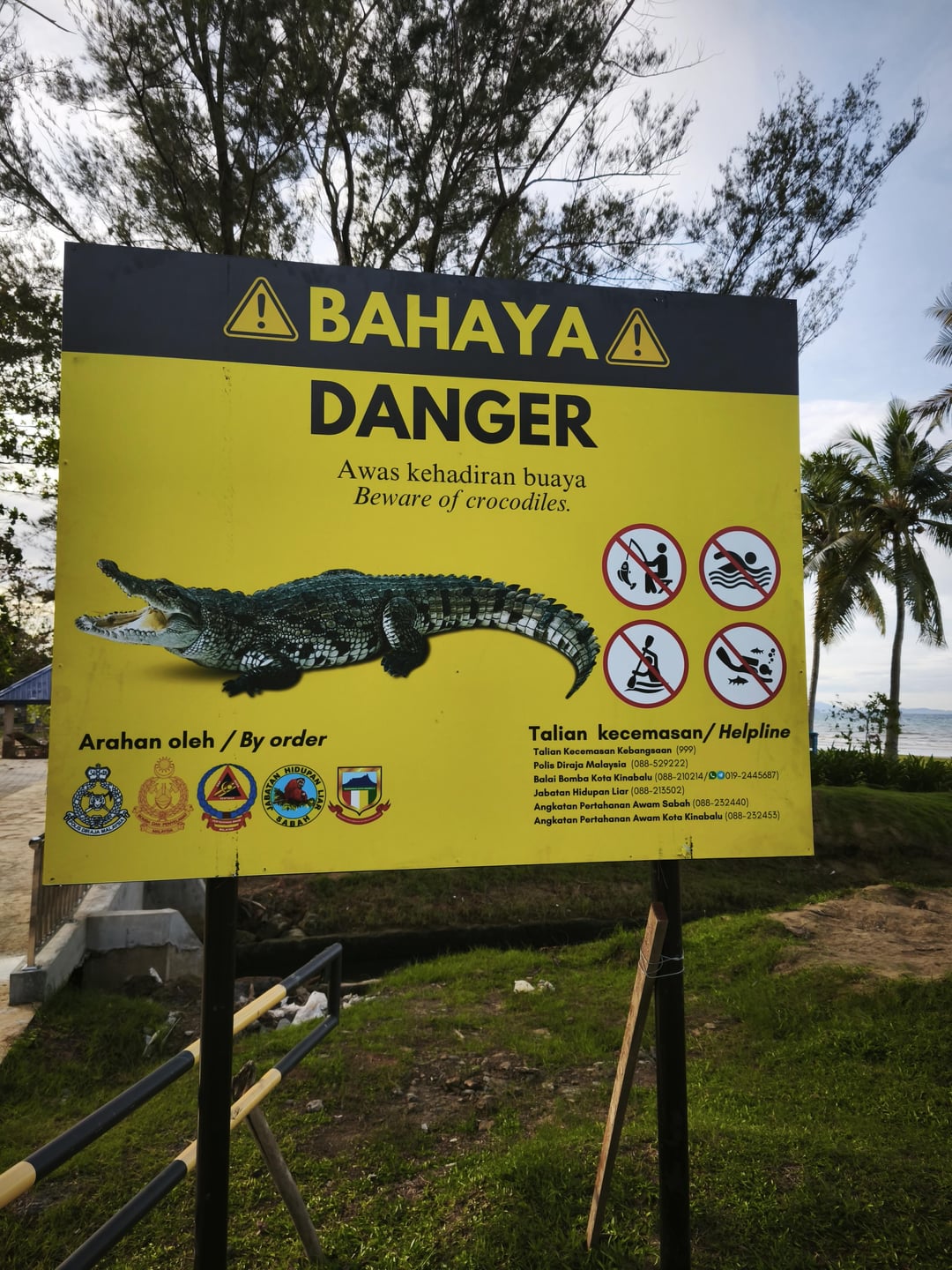 Buaya Dikesan di Pantai Tanjung Aru, Orang Ramai Diminta Berhati-hati